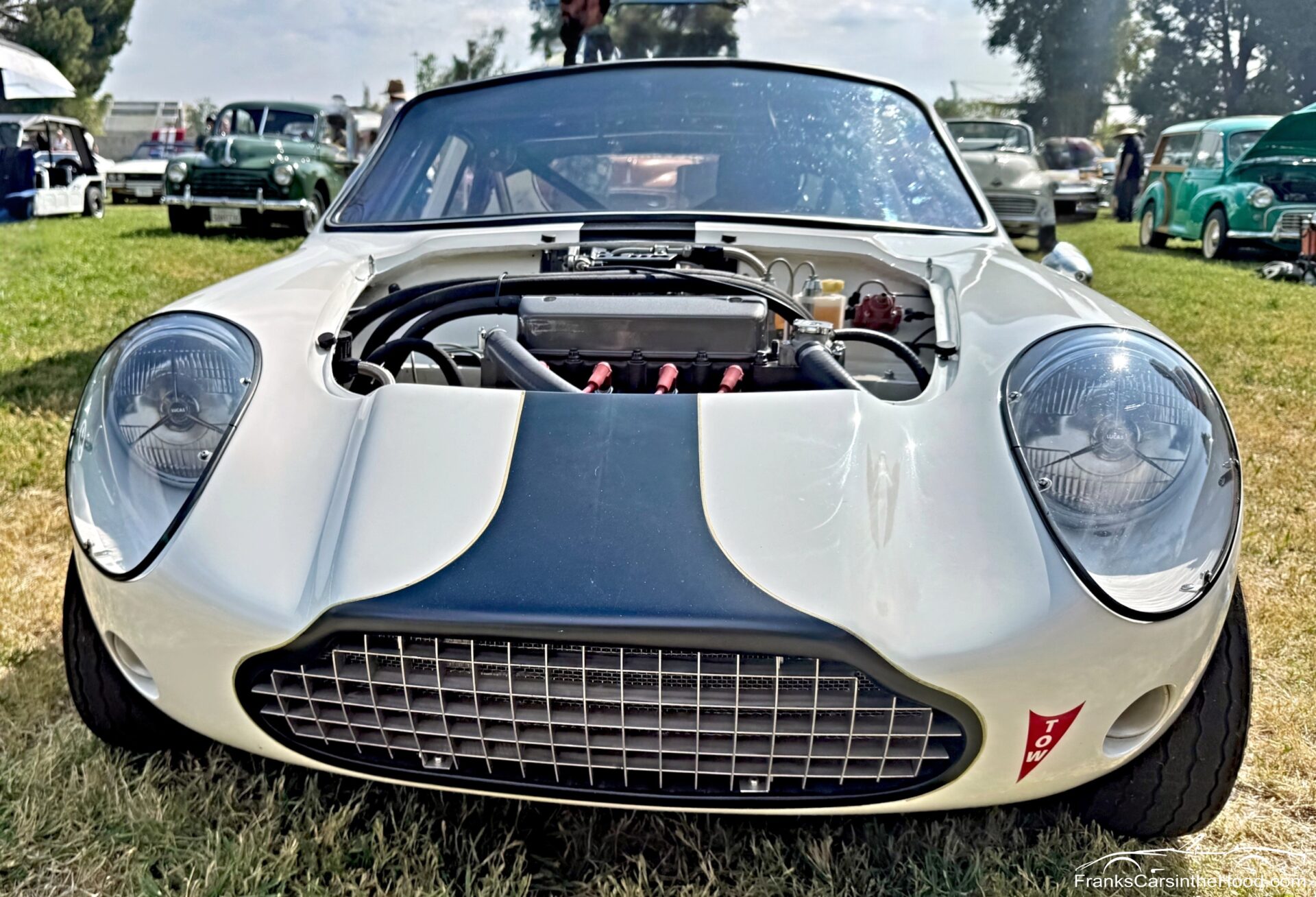 1965 Mini Jem Race Car – Frank's Cars in the Hood